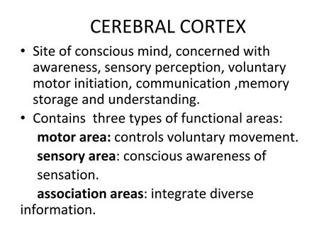 Solution Sensory Cortex 3 Studypool Solution Sensory Cortex 3 Studypool