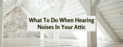 What To Do When Hearing Noises In Your Attic - Dig This Design