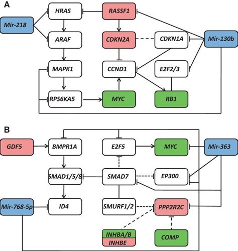 multilevel factors cooperatively perturb pathways a bladder cancer