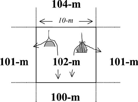 Schematic Of Overland Flow Illustrating The Flow Bifurcation Created By Download Scientific