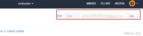 Svn Checkout 的时候一直提示输入账号密码tortoisesvn一直让输入账号密码 Csdn博客