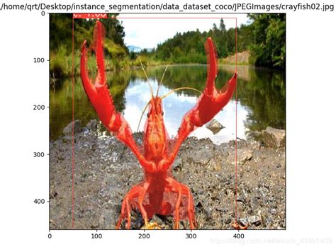 Yolact实例分割算法源码运行教程yolact源码 Csdn博客