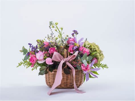 Cesta Garden Magnolia Concept