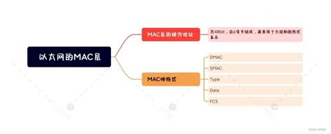 数据链路层：以太网的mac地址 mac子层和mac地址 csdn博客