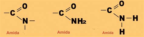 Aprendendo Quimica On Line Amidas