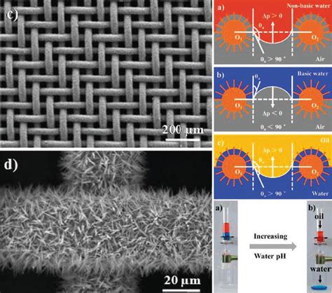 Switchable And Reversible Superhydrophobic Surfaces Part One Intechopen