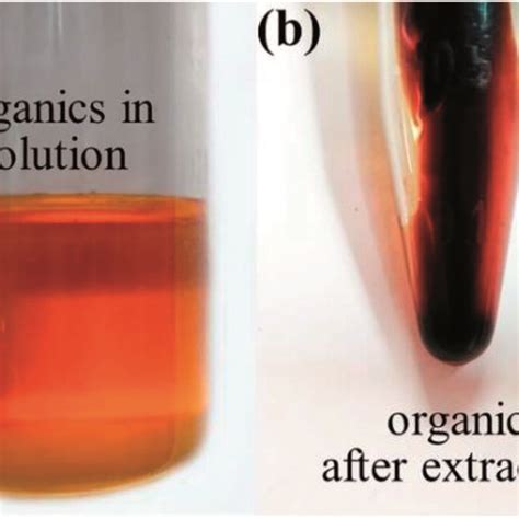 Schematic Diagram Of Reactive Extraction Process Download Scientific
