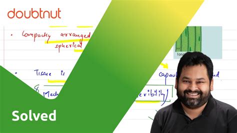 Give One Main Function Of Collenchyma