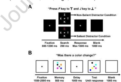 Figure 1 From Shared And Distinct Structure Function Substrates Of Heterogenous Distractor