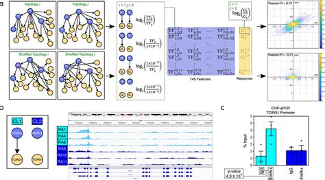 computational and experimental verification of personalized