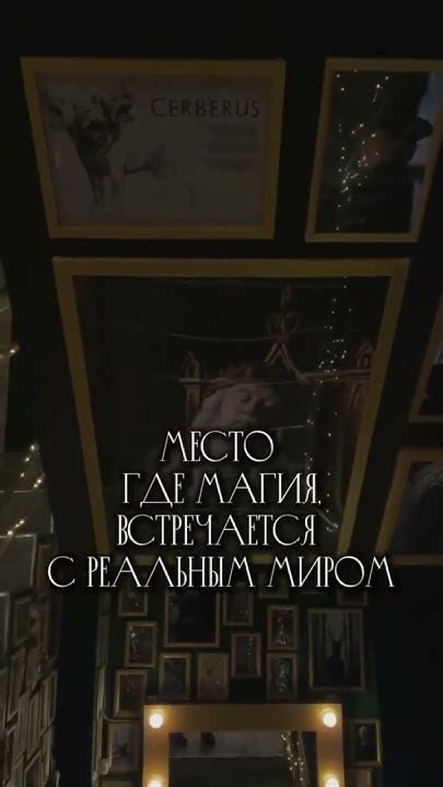 Магическое кафе по Гарри Поттеру Youtube