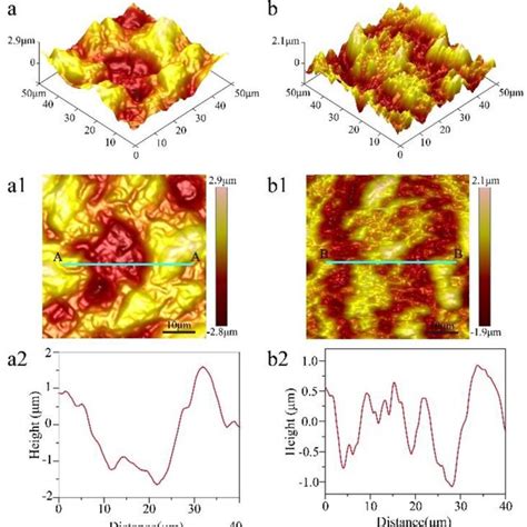 Surface Morphology Of The Titanium Surface At Each Step A Original