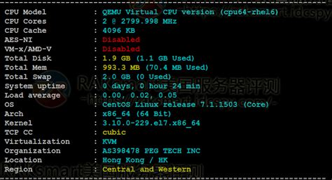 香港vps怎么样？raksmart香港vps主机hk V1024方案测评 Raksmart美国服务器评测