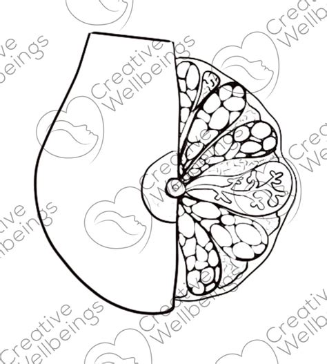 Design And Illustration — Creative Wellbeings Pllc