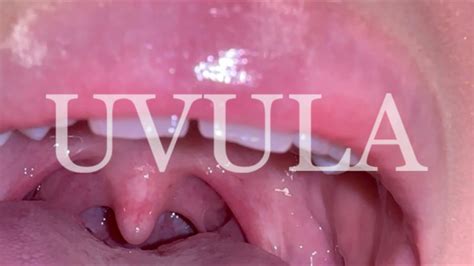 Babyheavanian Uvula Manyvids