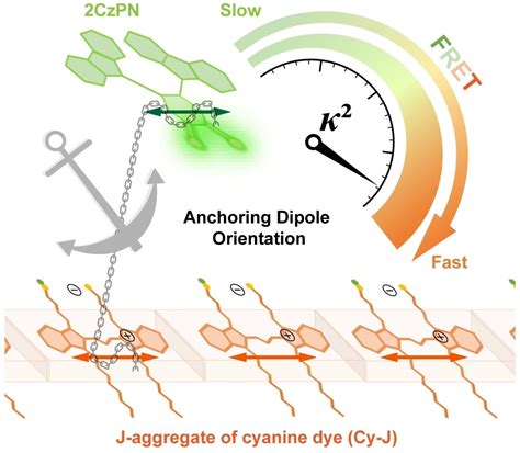 Chemistry A European Journal Vol 30 No 34 Chemistry Europe
