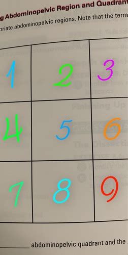 A P Lab Exam Flashcards Quizlet