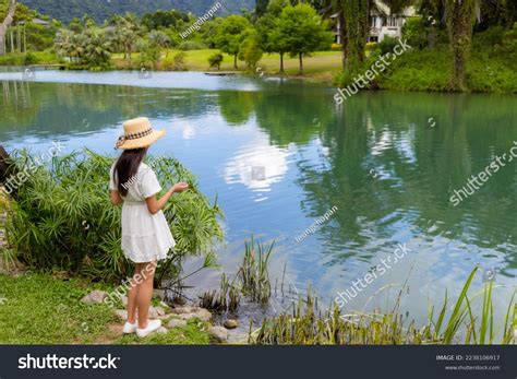 Feeding Pond Fish Images Stock Photos Vectors Shutterstock