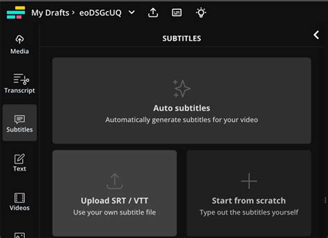 How To Add Subtitles Or Captions With Kapwing