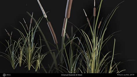 Grass In Half Life 2 Rtx Rhalflife