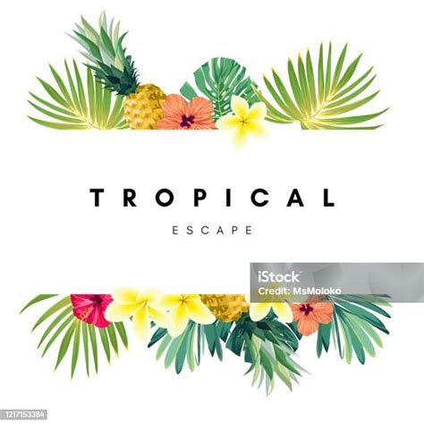 이국적인 몬스터야자수 잎 파인애플 플루메리아 히비스커스 꽃과 녹색 여름 열대 배경 벡터 꽃 배경입니다 파티 전단지 초대장 또는 배너 템플릿 열대 기후에 대한 스톡 벡터 아트