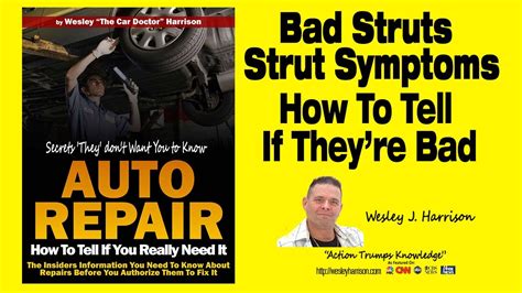 Shocks and Struts | How to Tell if They are Bad | Noise | Auto Repair ...
