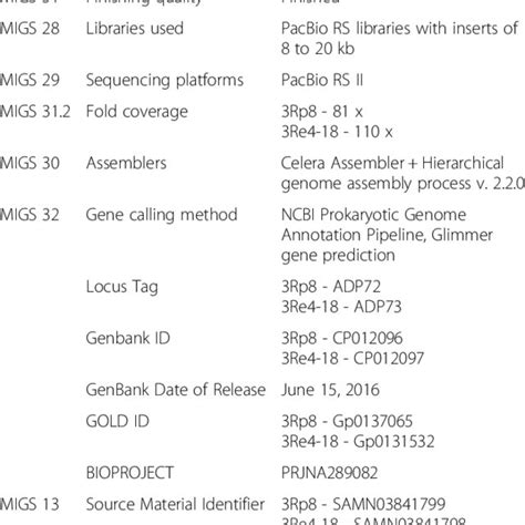 General Principle Of Nucleic Acid Sequence Based Amplification Nasba Download Scientific