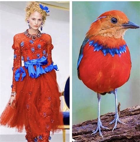 Pin by Терновый Цвет on разноцветье | Nature inspired fashion, Fashion ...