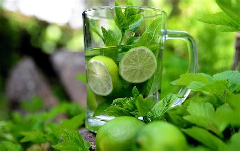 Más De 300 000 Imágenes Gratis De Planta Medicinales Y Hierbas