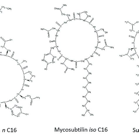General Representation Of The Chemical Structure Of Lipopeptides From