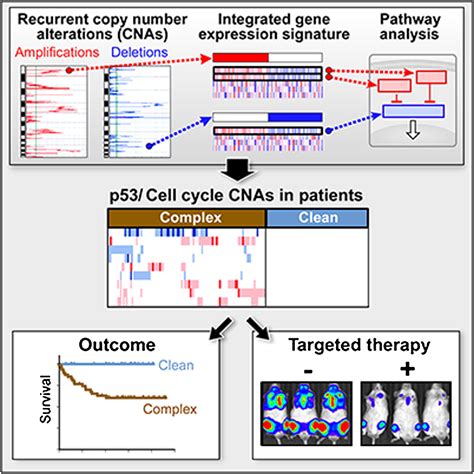 Integrative Analysis Reveals An Outcome Associated And Targetable Pattern Of P53 And Cell Cycle