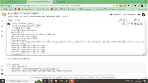 erro restart training · issue 2053 · deeplabcut deeplabcut · github