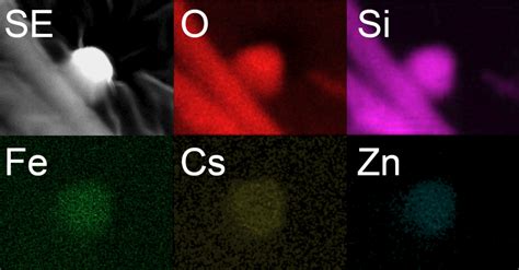 How Fukushimas Radioactive Fallout In Tokyo Was Concealed From The Public Bulletin Of The