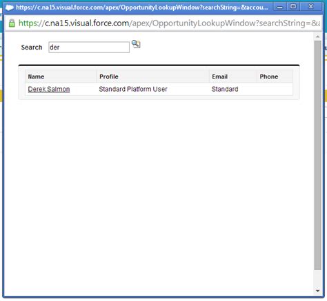 Vibans Blog Apexandvisualforce 101 Custom Lookup Functionality On A