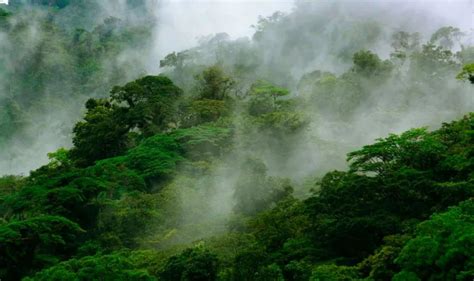 A Monteverde Cloud Forest And Pacific Island Costa Rica Combo Package