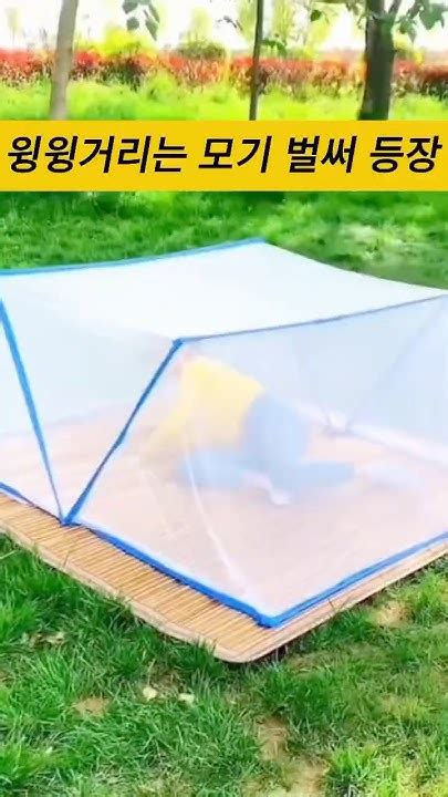 모기퇴치 벌레퇴치 하는 방법 여름필수템 캠핑족 에게 추천하는 아이템 캠핑꿀팁 Youtube