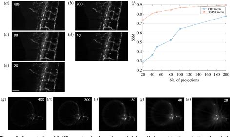 figure 8 from optical projection tomography implemented for