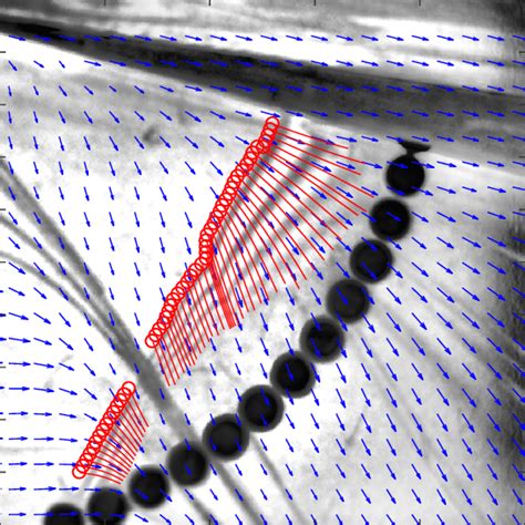 Analysis Lines Overlaid On An Interferogram Freestream Flow Direction