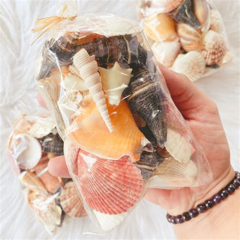 Mix conchas variadas Chamado de Fé