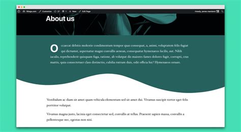 5 Tips Tricks And Css Tweaks To Easily Customize The Wordpress 2019