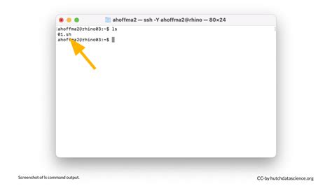 Chapter 7 Submit A Computing Script Intro To Fred Hutch Cluster Computing