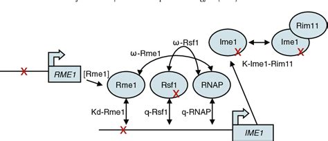Figure 1 From Epistasis In A Quantitative Trait Captured By A Molecular