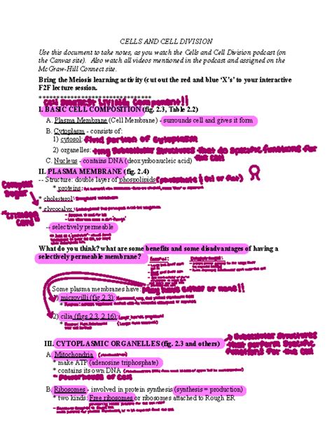 Cell Division Annotated Lecture Notes Cells And Cell Division Use