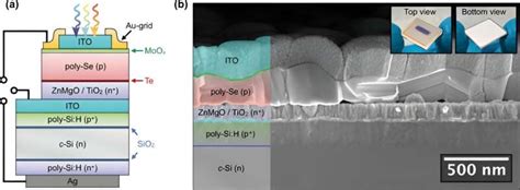 Selenium Silicon Tandem Cells With Efficiency Upto 40