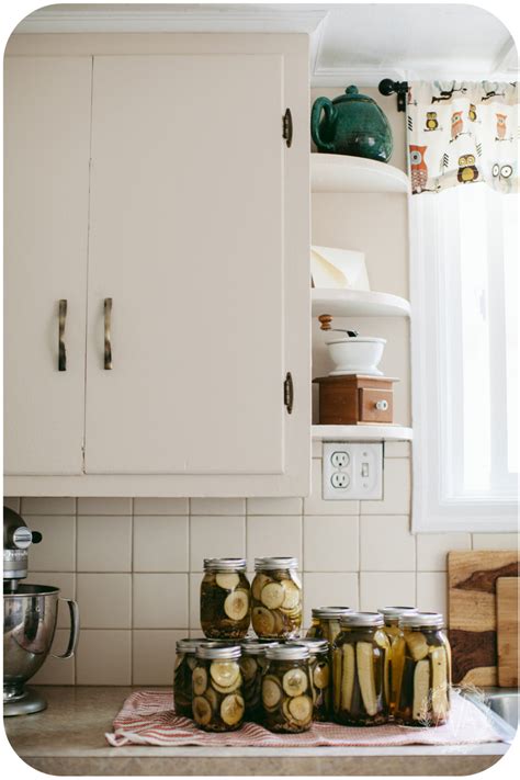 Pickling Cucumbers A Visual Anthology