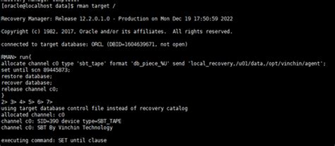 Oracle Database Restore Vinchin Help Center