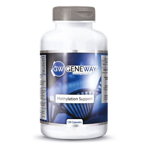 Methylation Support 120 Capsules Geneway Dna Tests