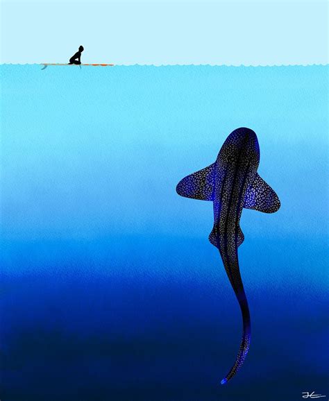 Leopard Shark Wallpapers Wallpaper Cave