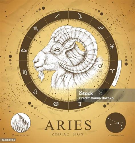 점성술 양자리 조디악 기호 빈티지 마법 마술 카드 현실적인 손 드로잉 램 또는 무플론 헤드 조디악 특성 드로잉에 대한 스톡 벡터