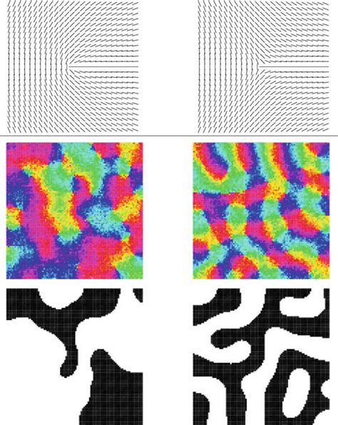 Top Topological point defects in a π periodic orientation variable Download Scientific Diagram